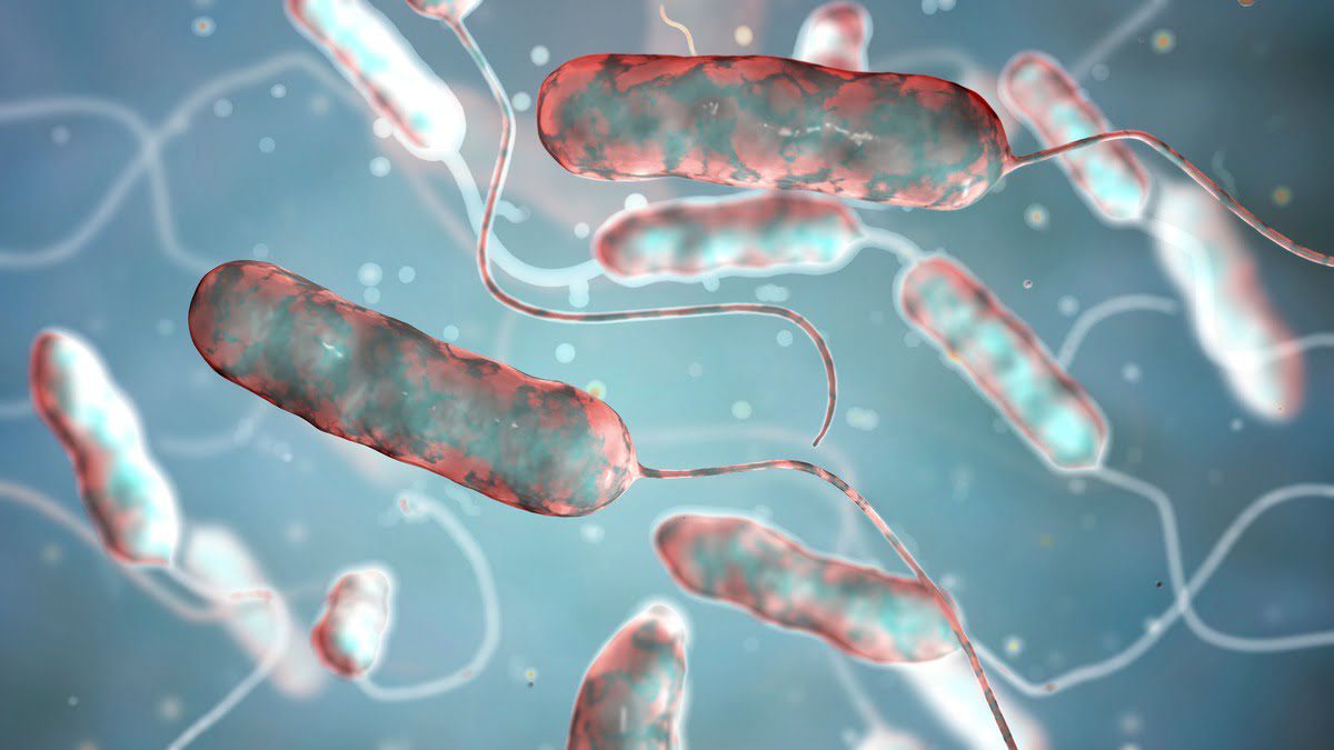 Control de legionella - ¿Qué es la legionella? - ¿Cómo la prevenimos?